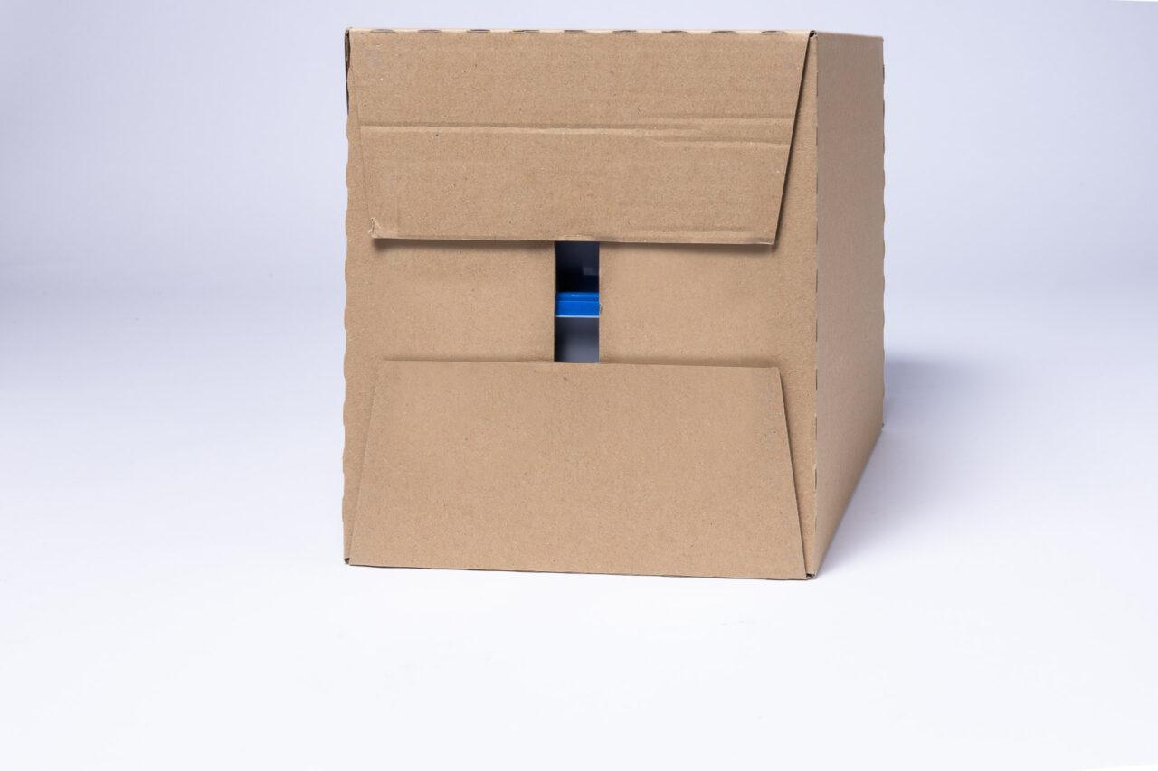 Case Packer for Wraparound & Tray - C500 - Buhmann Pac Solutions